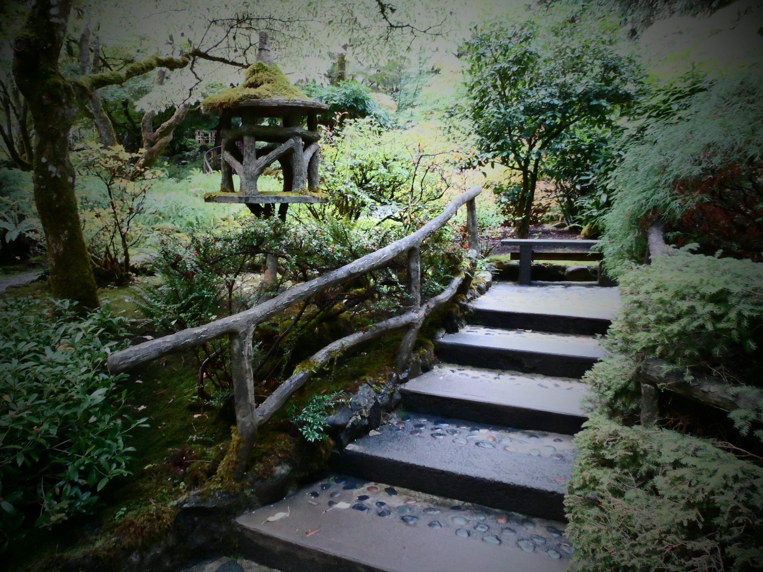 What to Expect After A Reiki Healing - Intuitive Wanderer's Blog